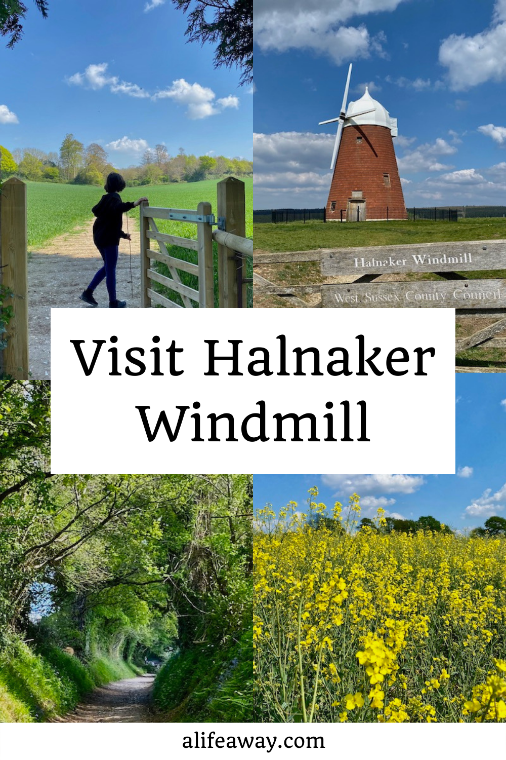 Halnaker Tree Tunnel | Visit a Fairytale Tree Tunnel in England - A ...
