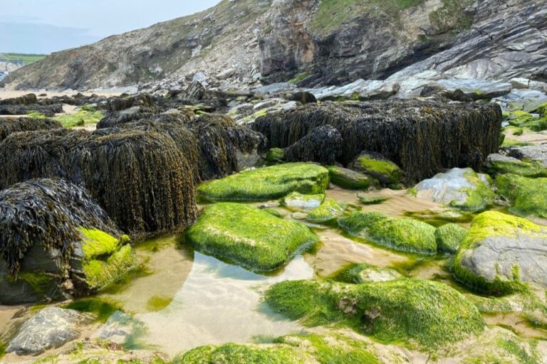 Cornwall Itinerary: 5 Days of Castles, Cliffs, and Hidden Villages - A ...